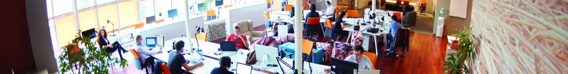 Signera Digital Signage - About